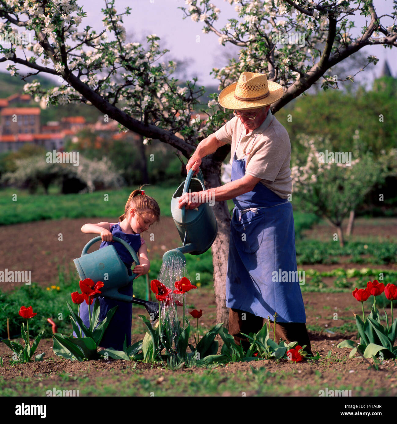 Grandfather and granddaughter garden hi-res stock photography and ...