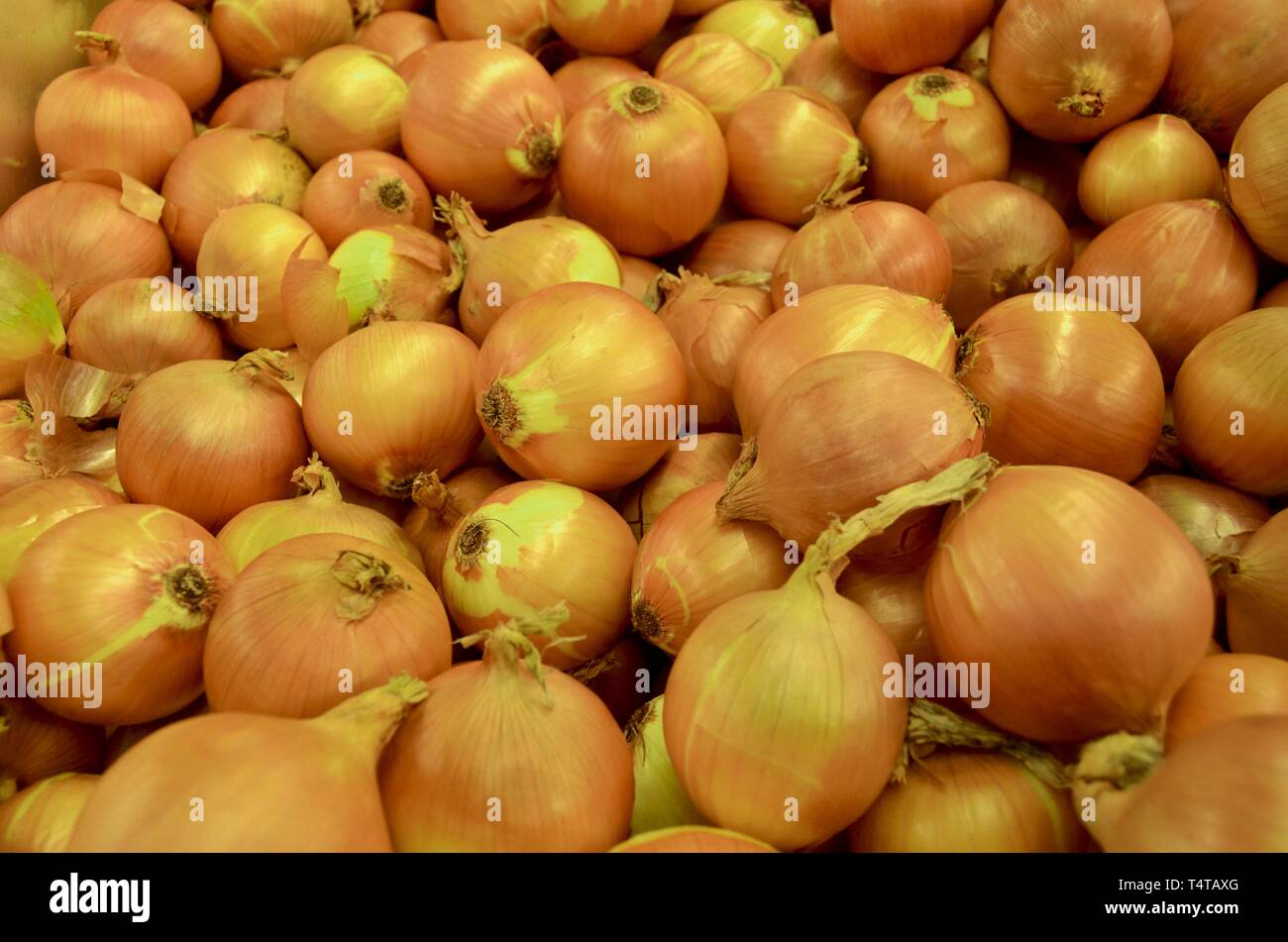 New york offered hi-res stock photography and images - Alamy