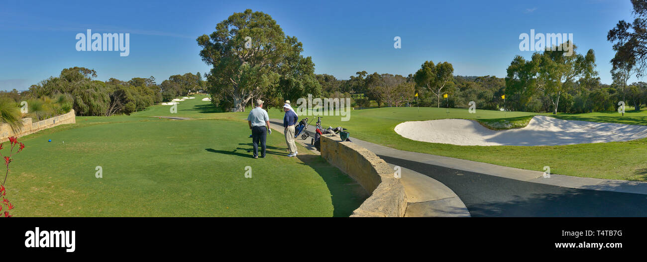 Australia western australia gum trees hi-res stock photography and ...
