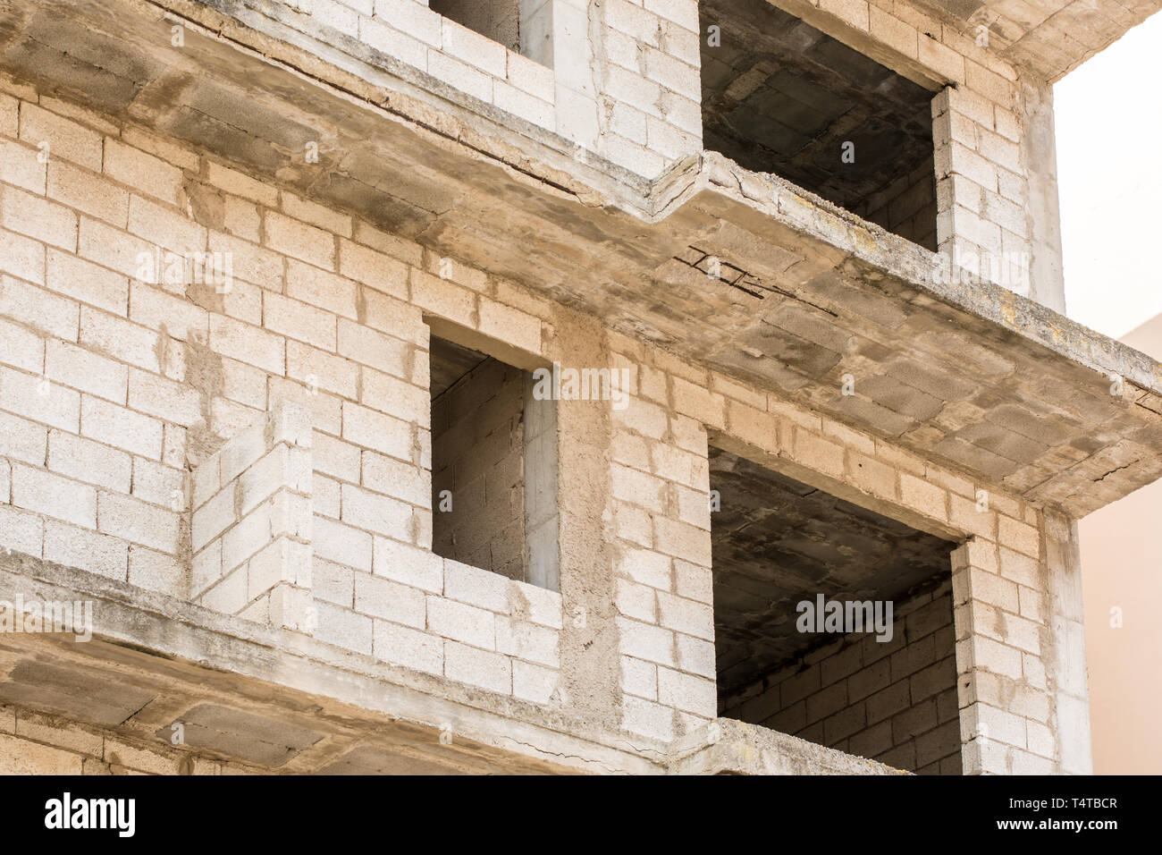 Shell structure hi-res stock photography and images - Alamy