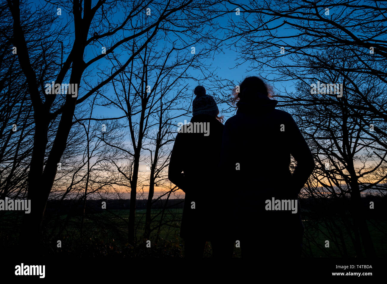 Roe Green Loopline walkway, Worsley, Manchester Stock Photo - Alamy