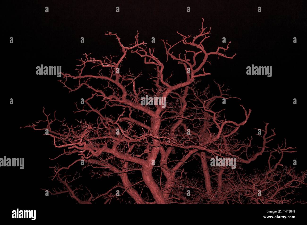 Red illuminated tree hi-res stock photography and images - Alamy