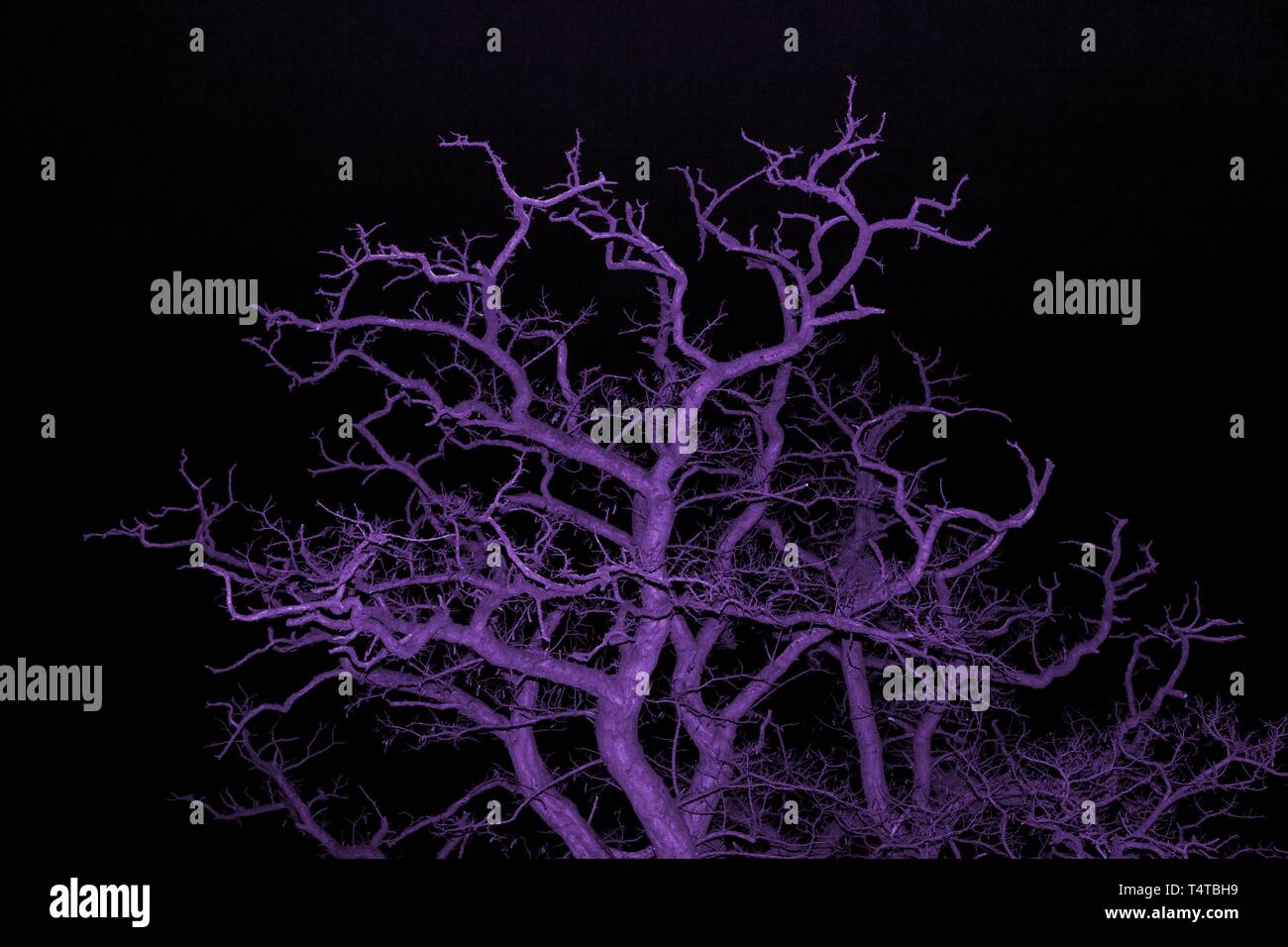 333dk8sj hi-res stock photography and images - Alamy