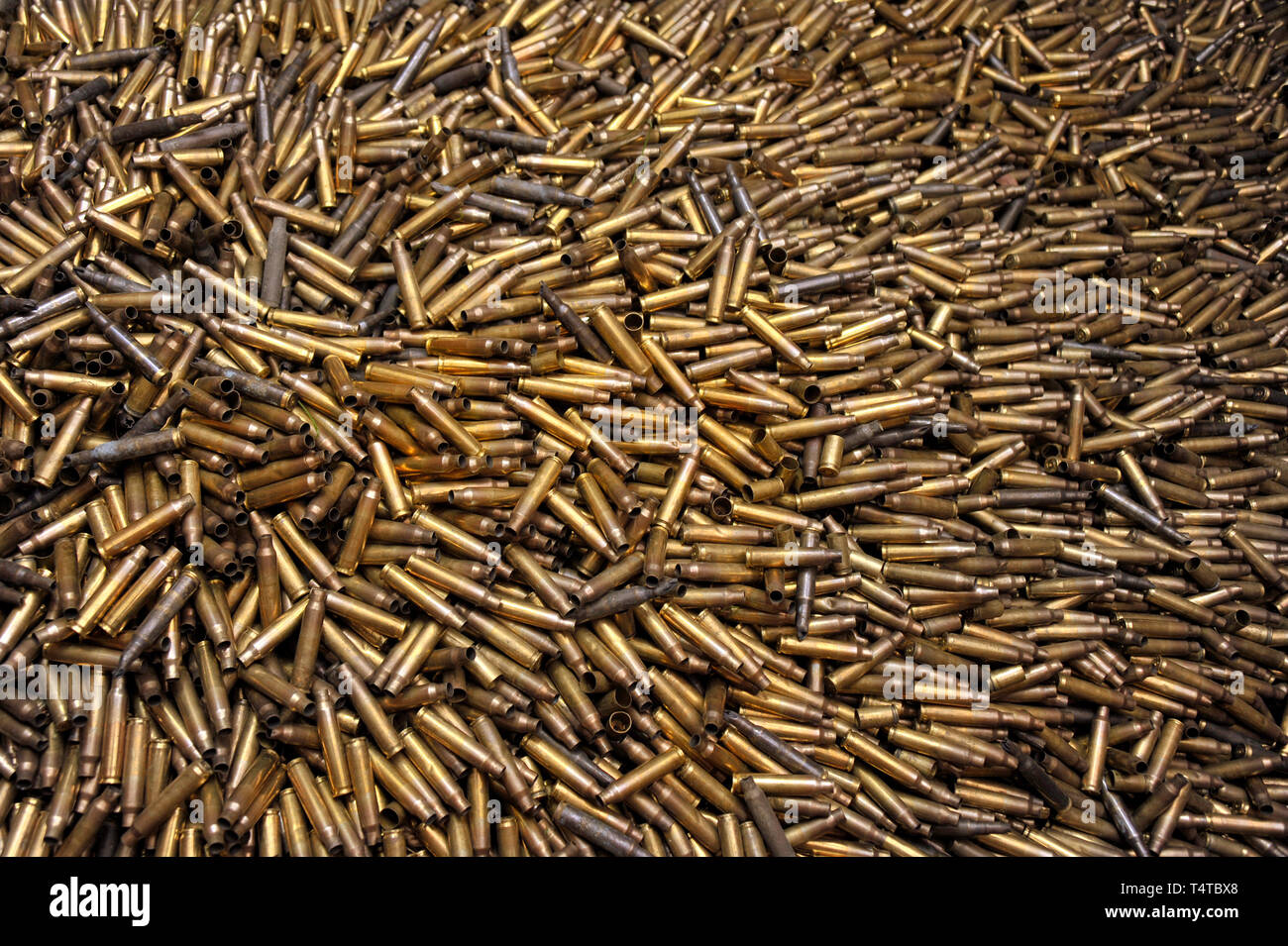 Shell Cases High Resolution Stock Photography and Images - Alamy