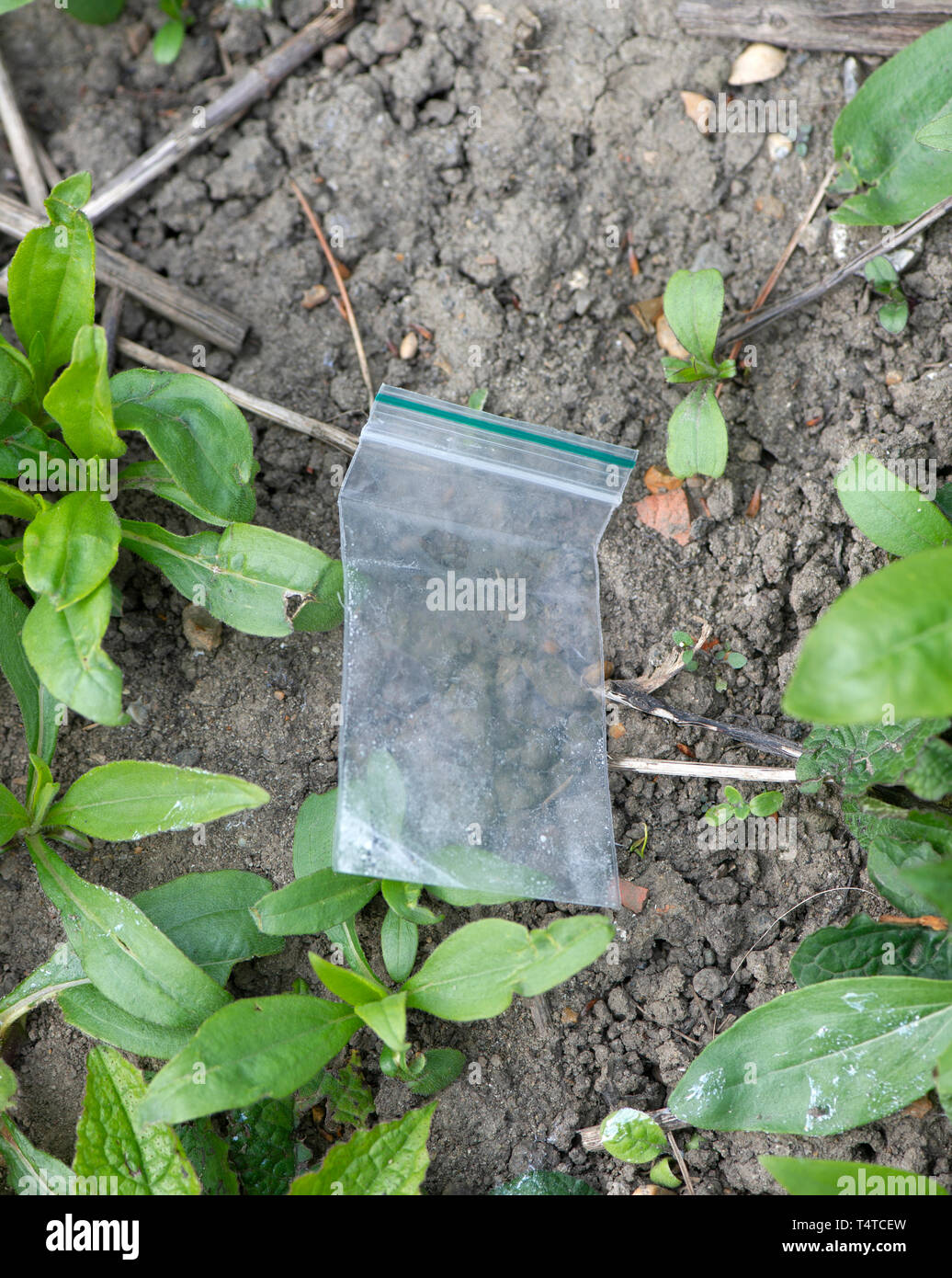 Cocaine wrap hi-res stock photography and images - Alamy