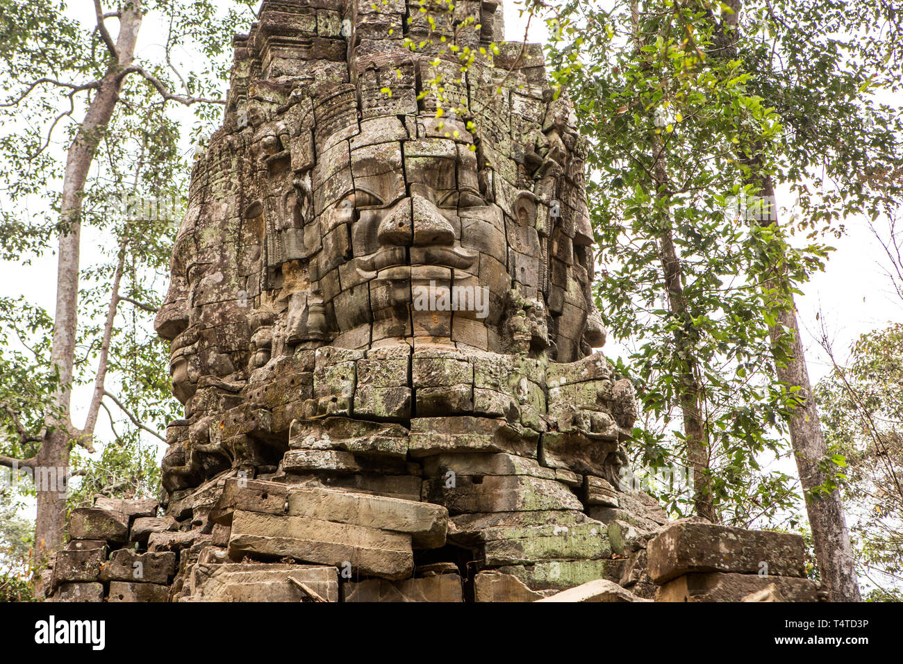 Carved faces at Ta Prohm Temple, Siem Reap, Cambodia Stock Photo - Alamy