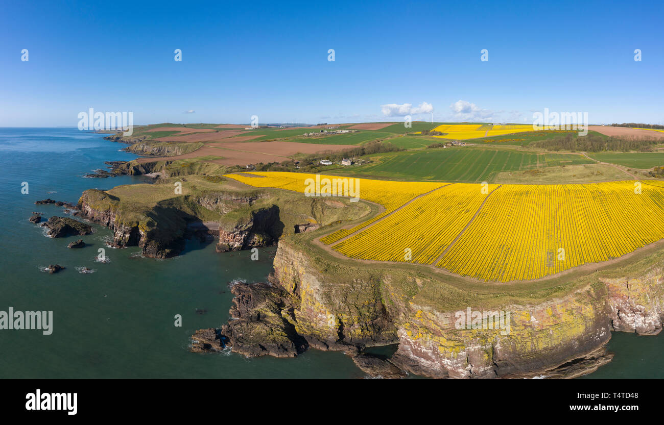 Kinneff church hi-res stock photography and images - Alamy