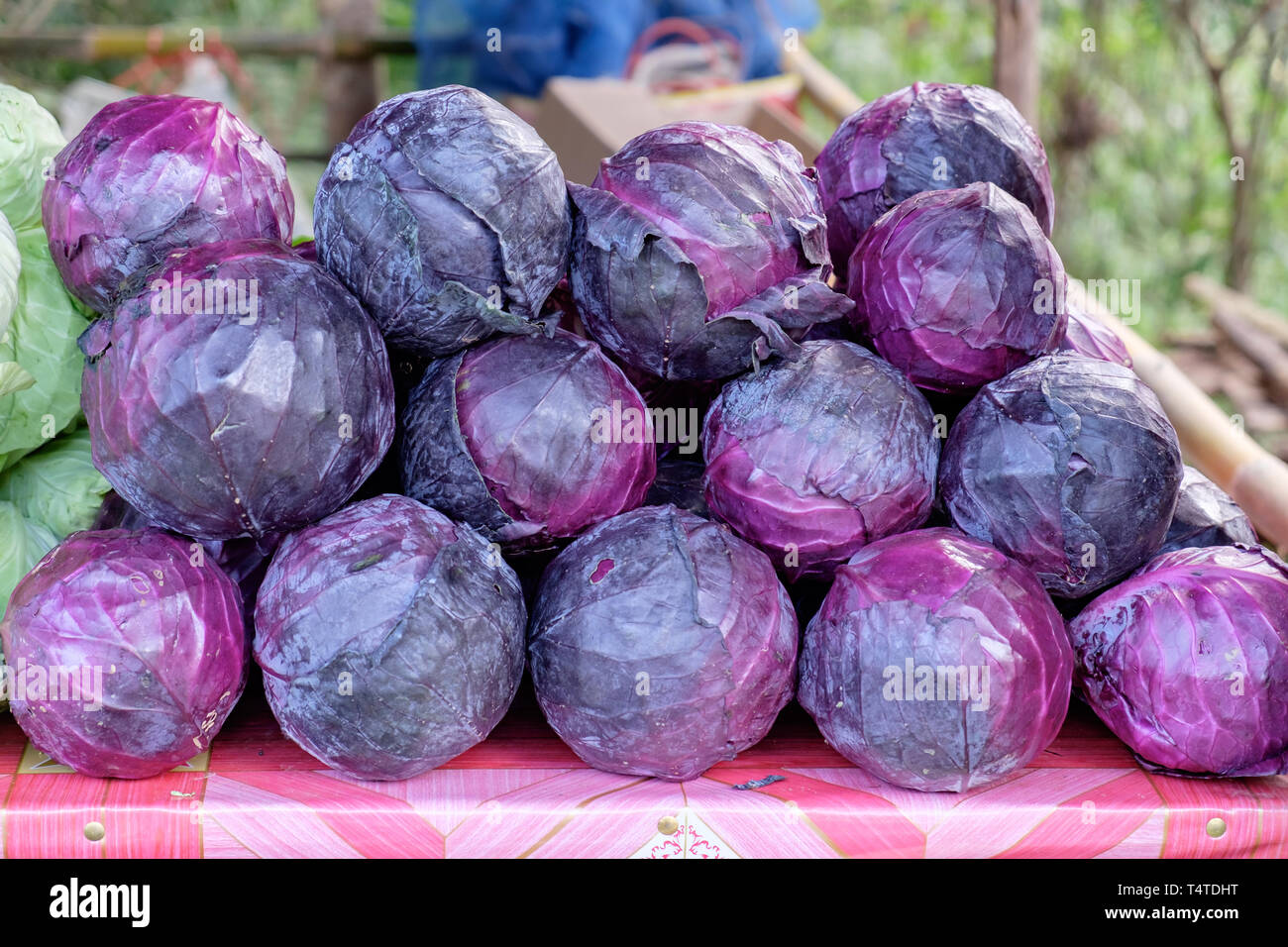 Cabbage stack hi-res stock photography and images - Alamy