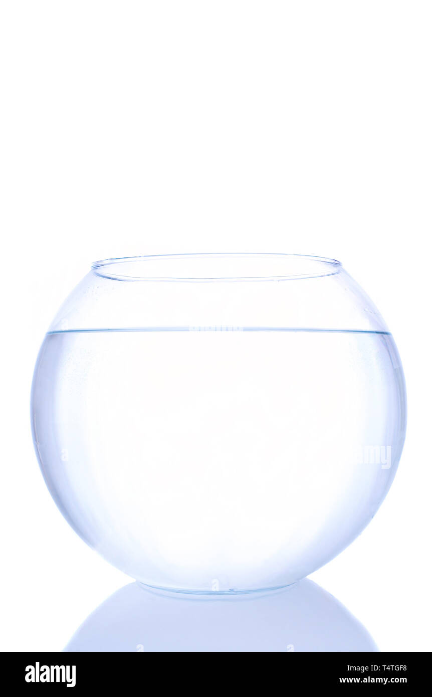 empty fish bowl on white background Stock Photo - Alamy