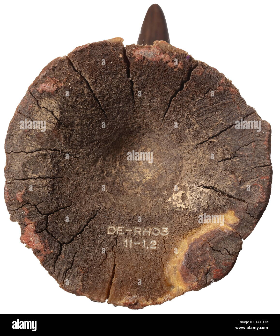 Historical horn of africa hi-res stock photography and images - Alamy