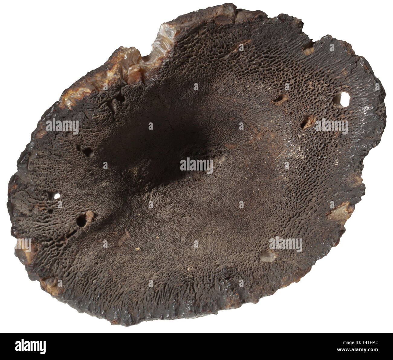 Historical family documents Cut Out Stock Images & Pictures - Alamy