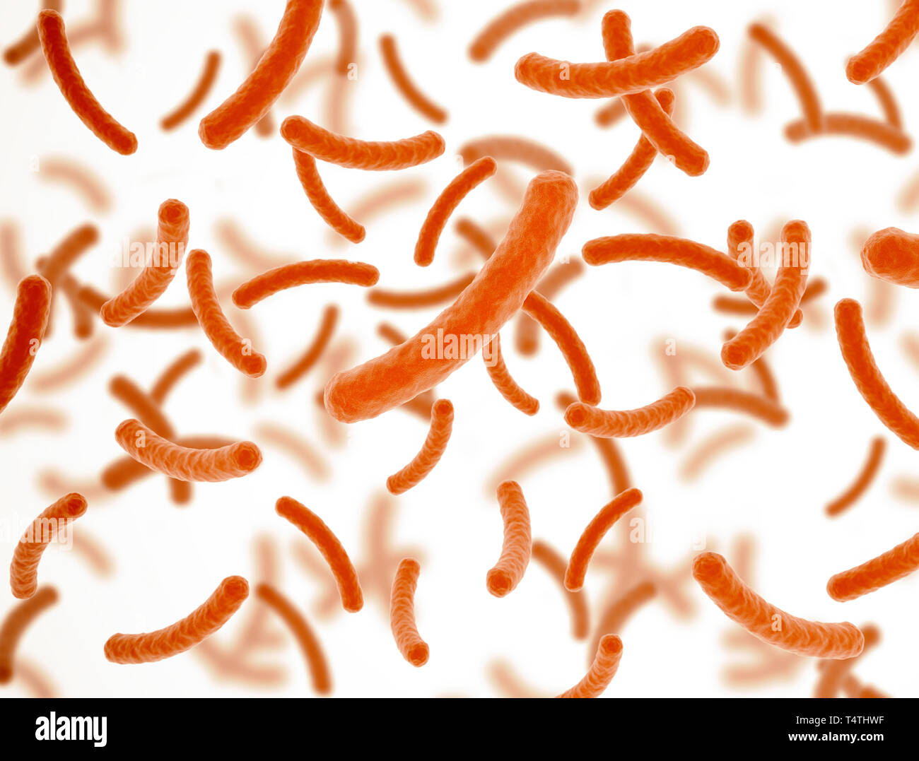 Bacteria cells orange on white background with depth of field Stock ...
