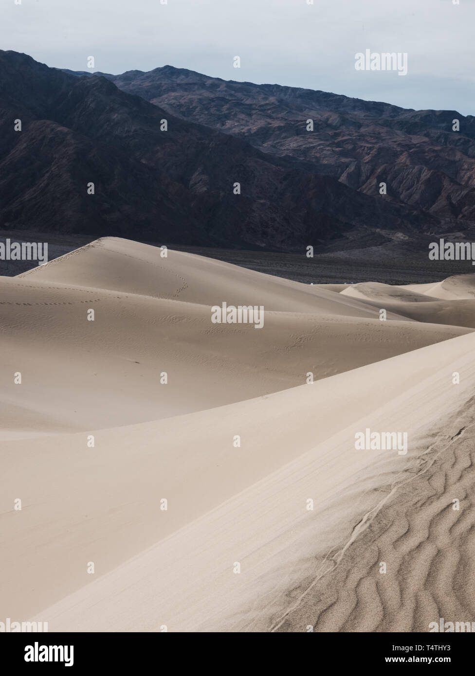 Sand Dunes in Death Valley National Park Stock Photo - Alamy