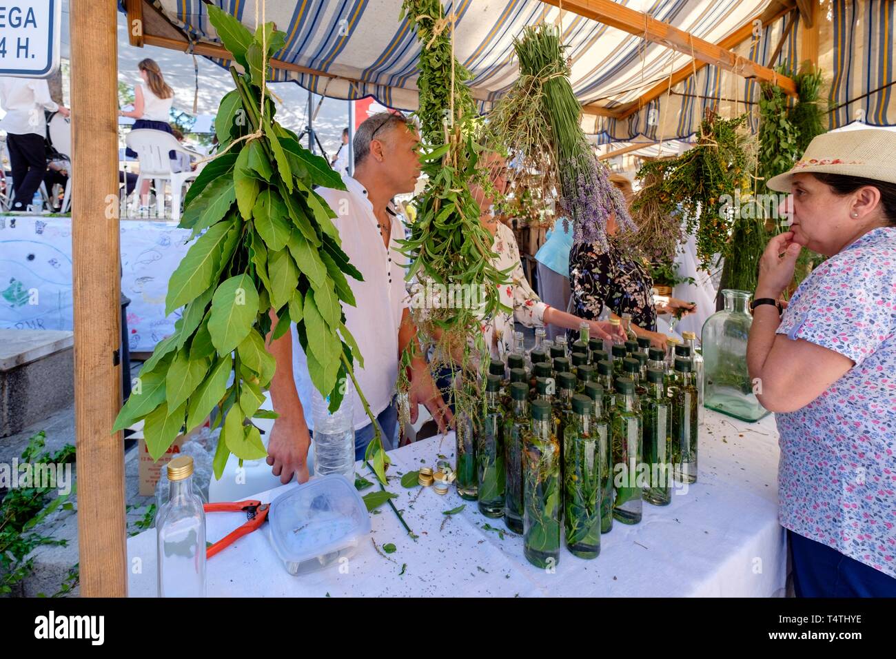 hierbas tradicionales aromaticas, Fira de Ses Herbes,, Selva, Raiguer ...