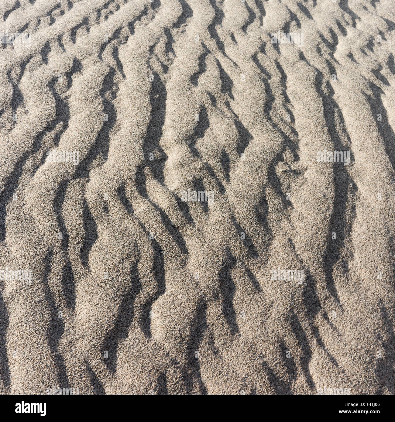 Sand texture park hi-res stock photography and images - Alamy