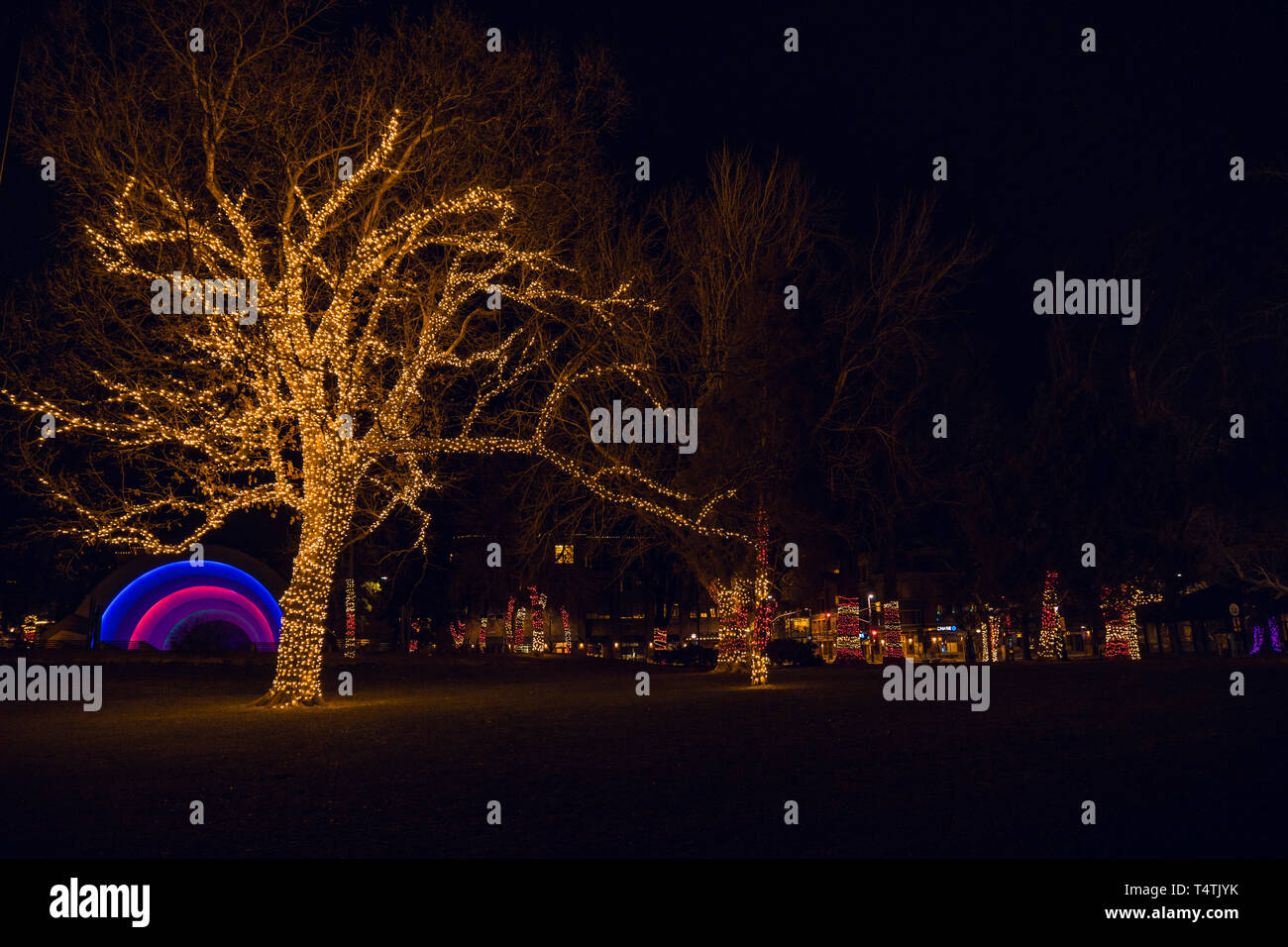 Electric lights on tree hi-res stock photography and images - Alamy