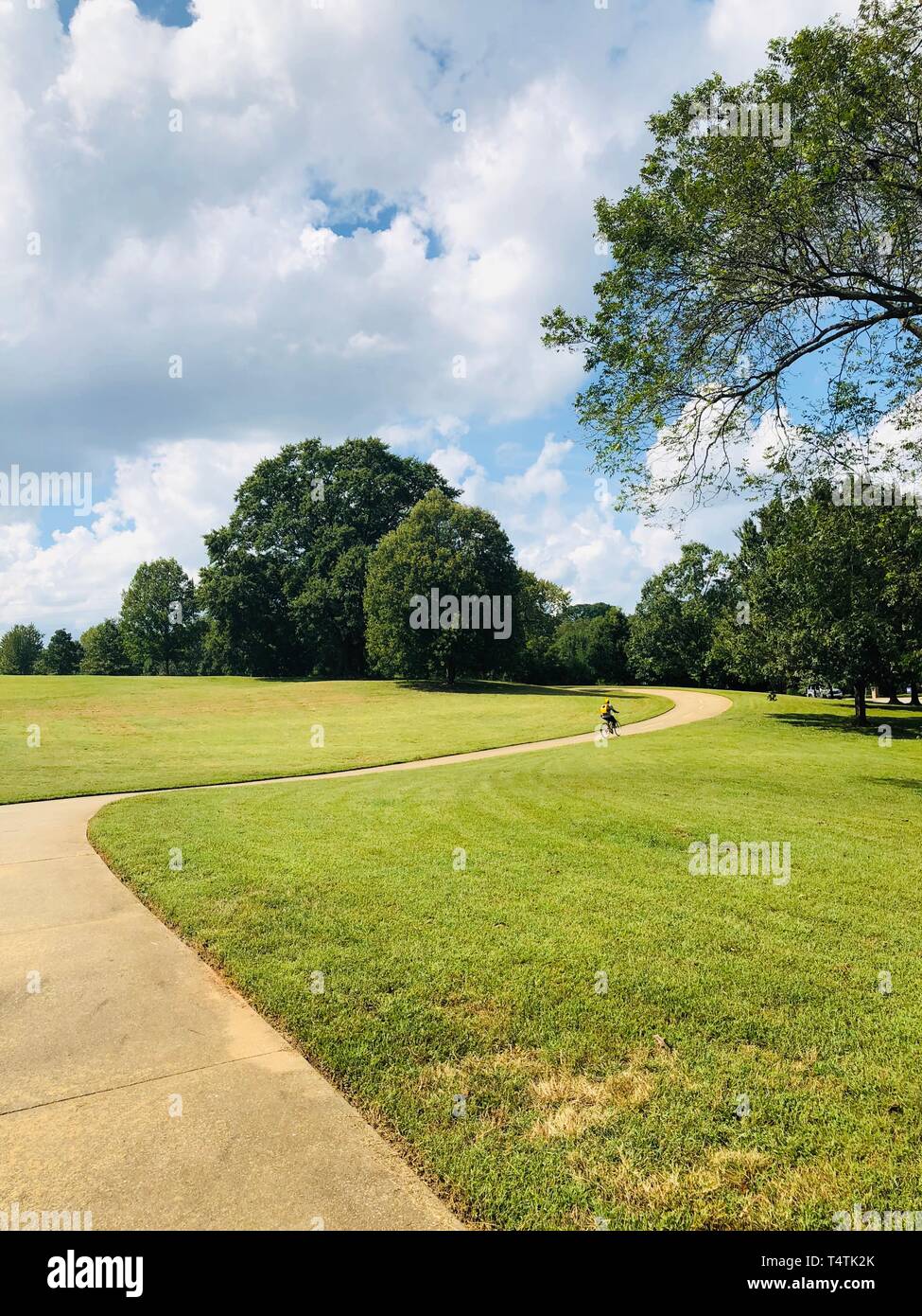 riding bike through park path with green grass Stock Photo - Alamy