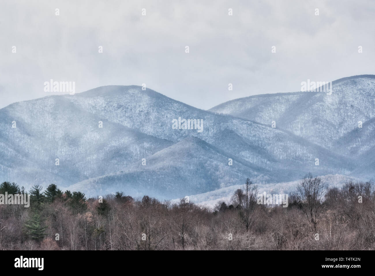 Blue ridge mountains trees hi-res stock photography and images - Alamy