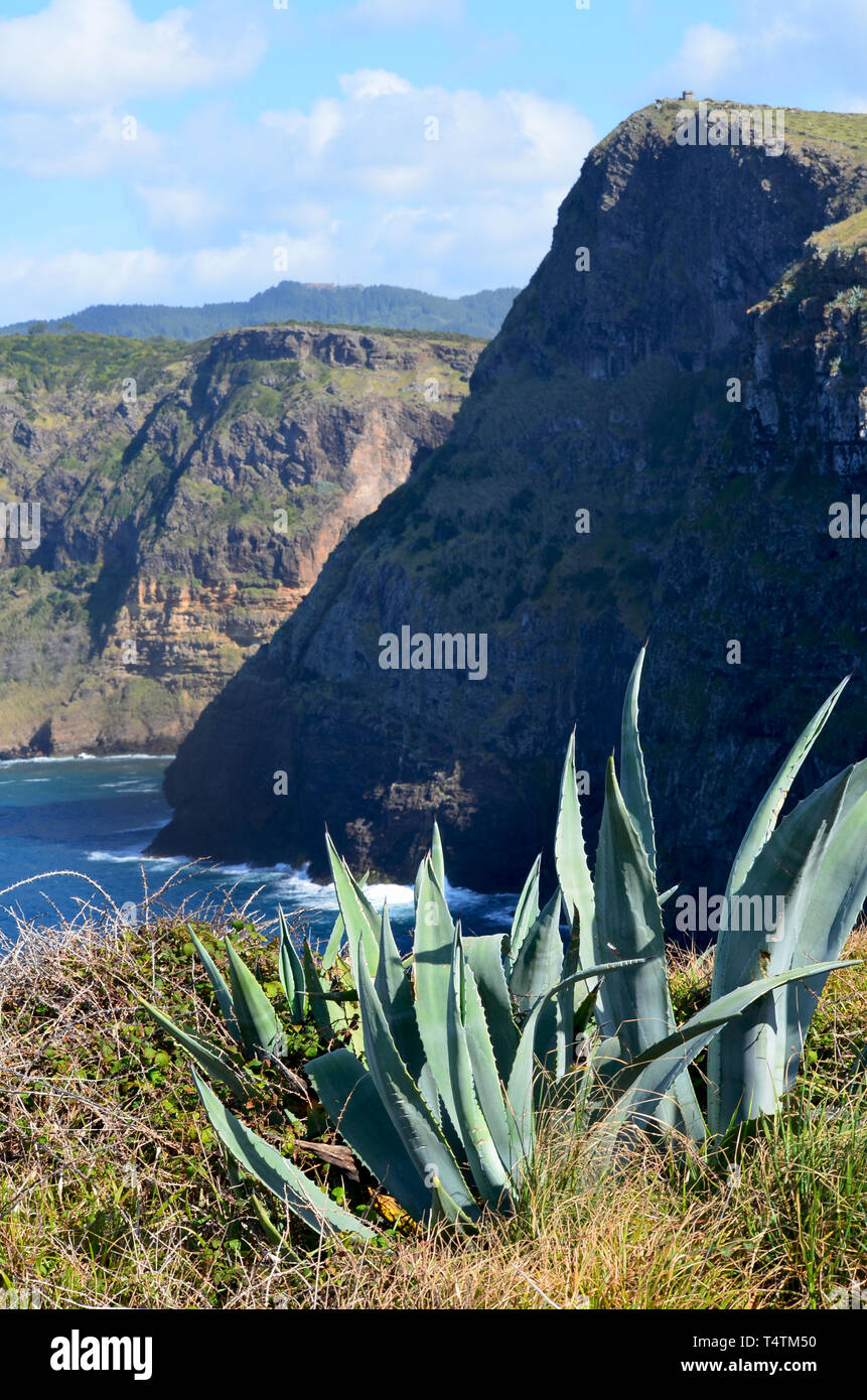 Anjos Bay in Santa Maria's northern coast, Azores islands Stock Photo ...