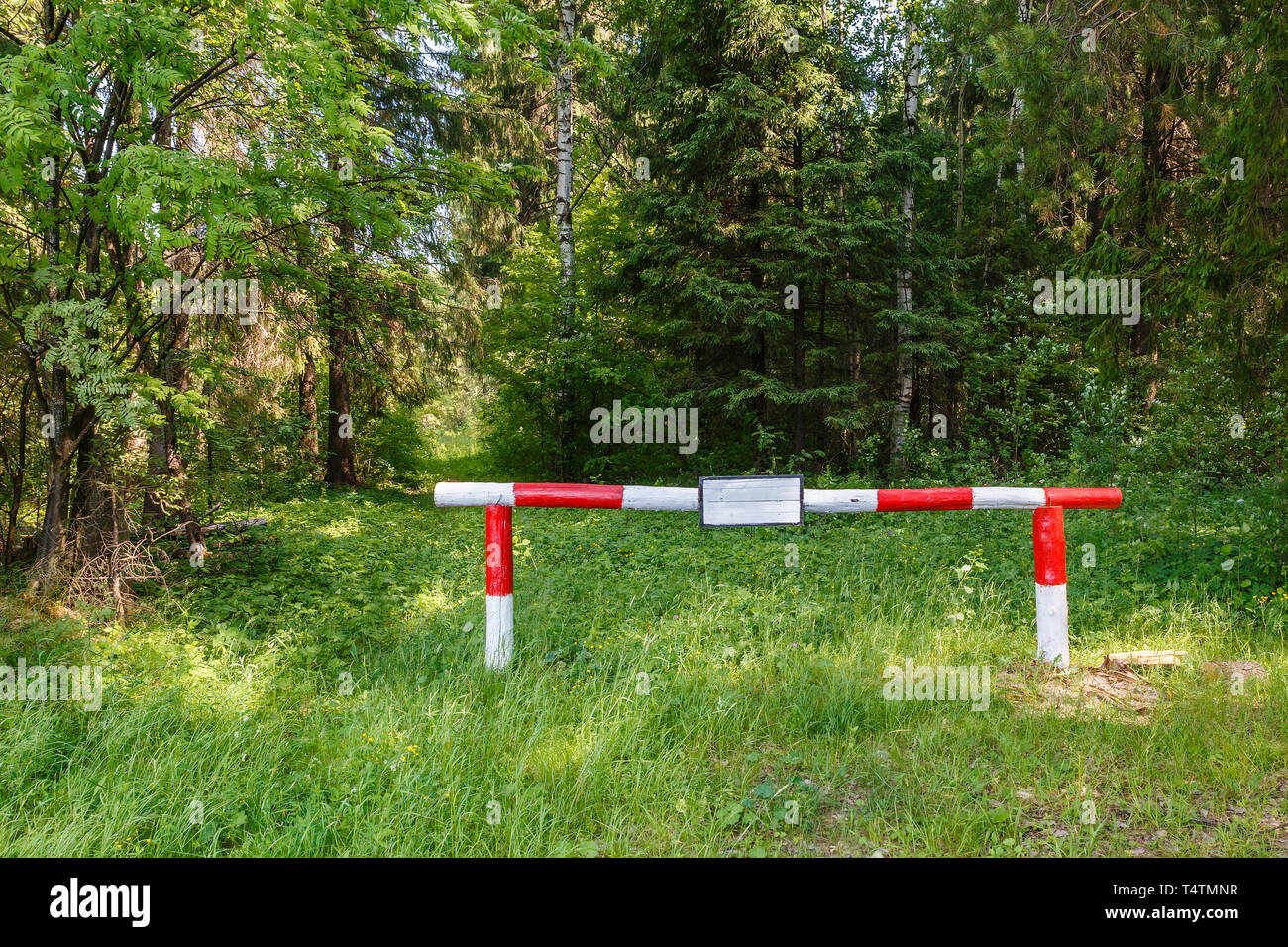 Tree blocking forest track hi-res stock photography and images - Alamy