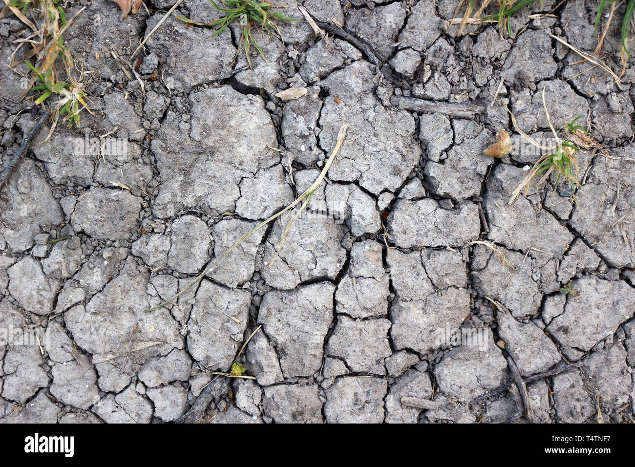 Dry cracked ground surface during a draught Stock Photo - Alamy
