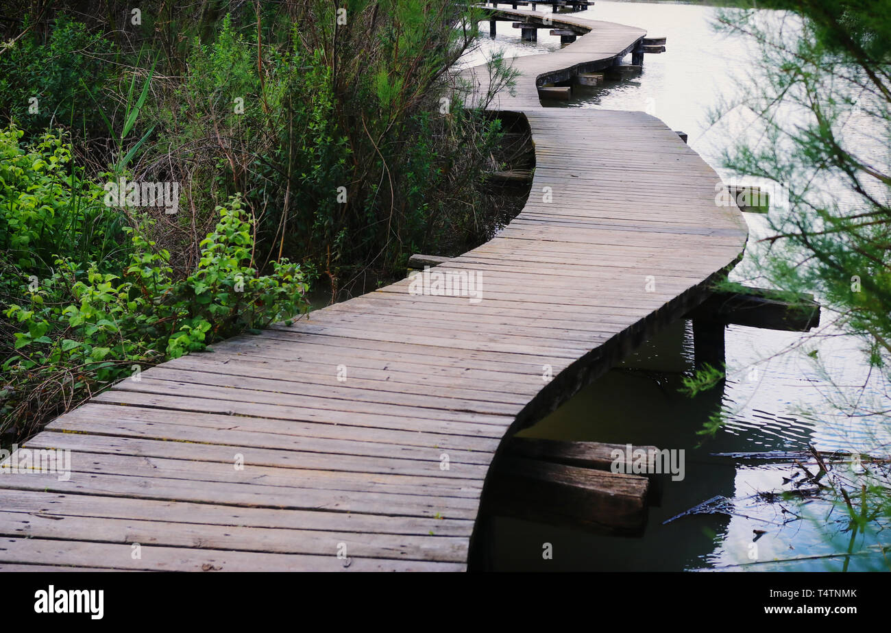 Lonely footpath through grass hi-res stock photography and images - Alamy