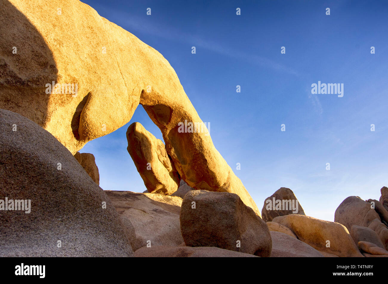 Arch rock joshua tree national park hi-res stock photography and images ...