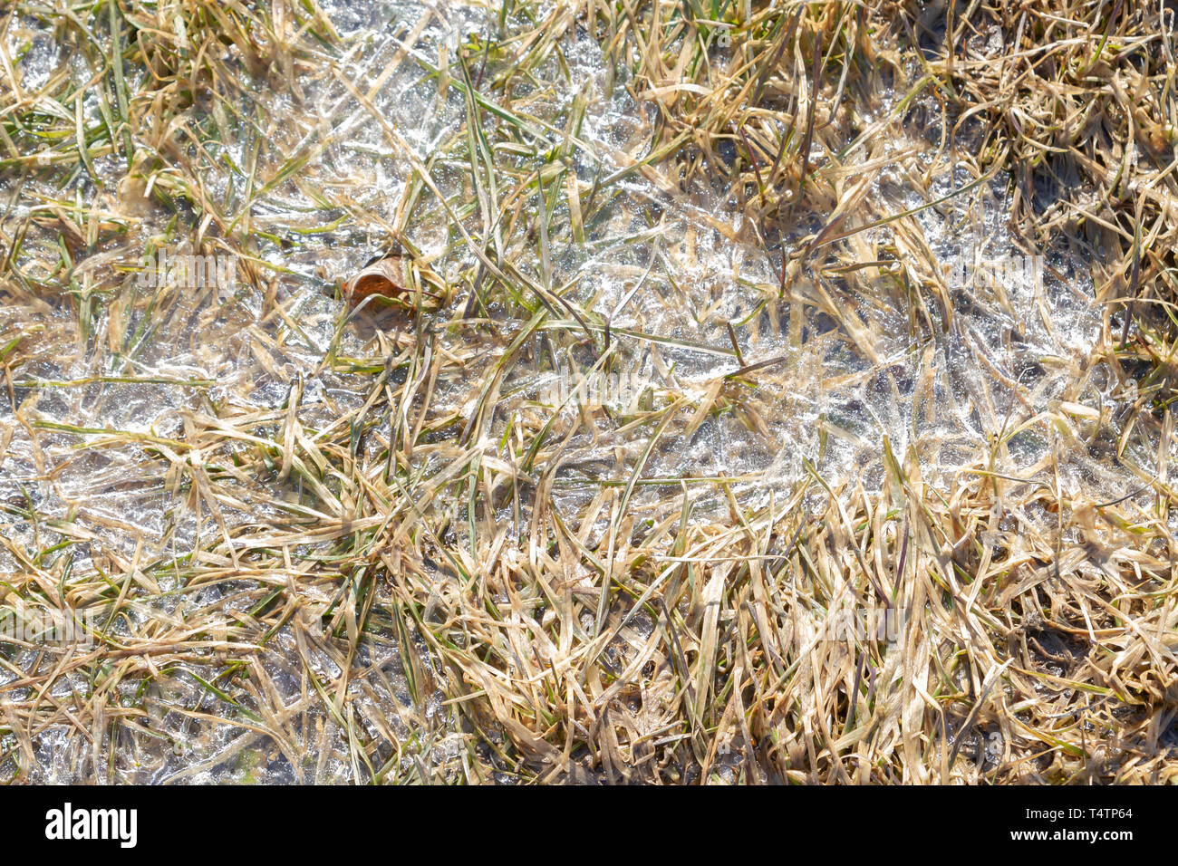 Spring flood carries the snow and turns into a puddle outside the city ...