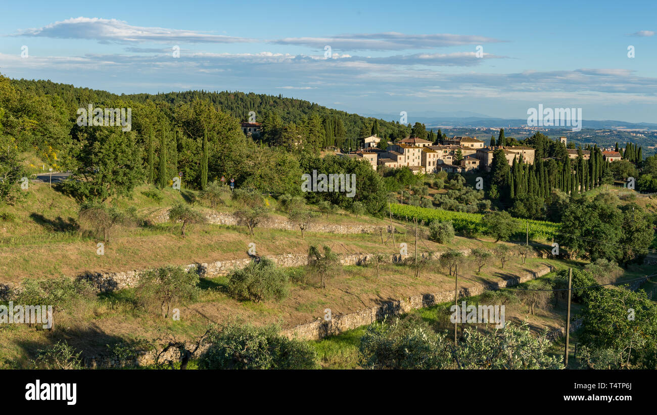 Olive grove terrace italy hi-res stock photography and images - Alamy