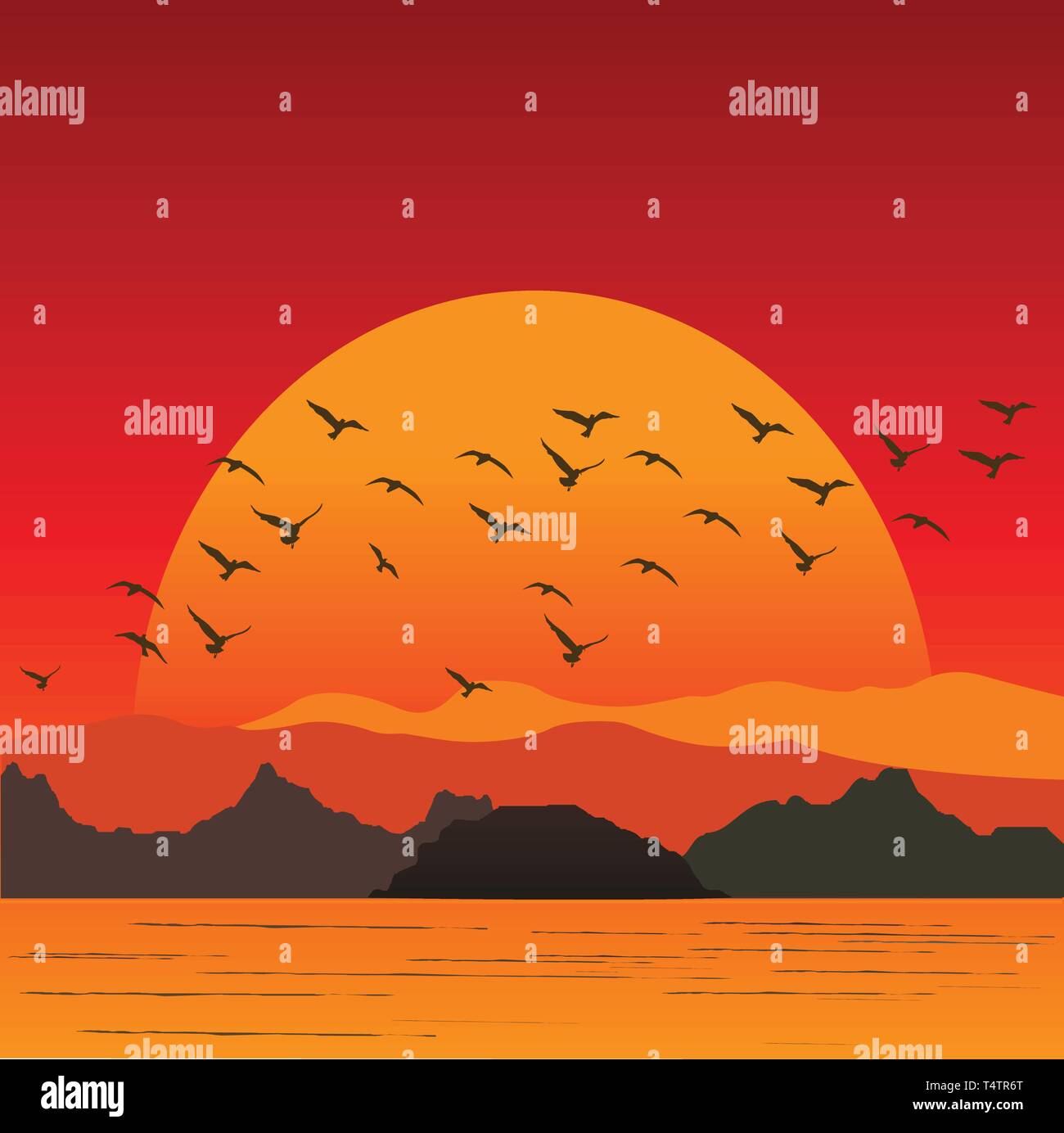 Vector Stock Vector Image And Art Alamy