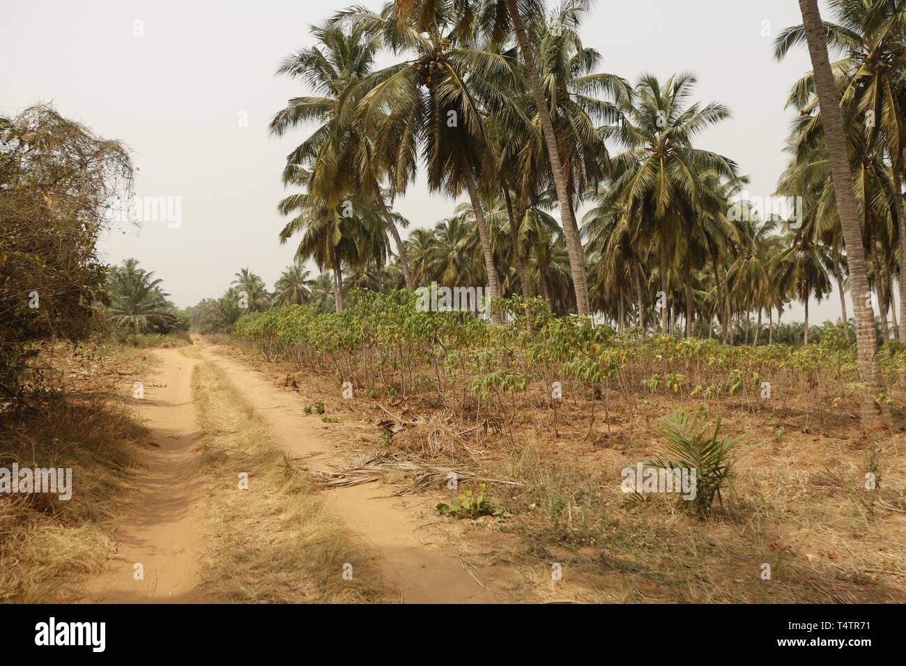 Togo landscape hi-res stock photography and images - Alamy