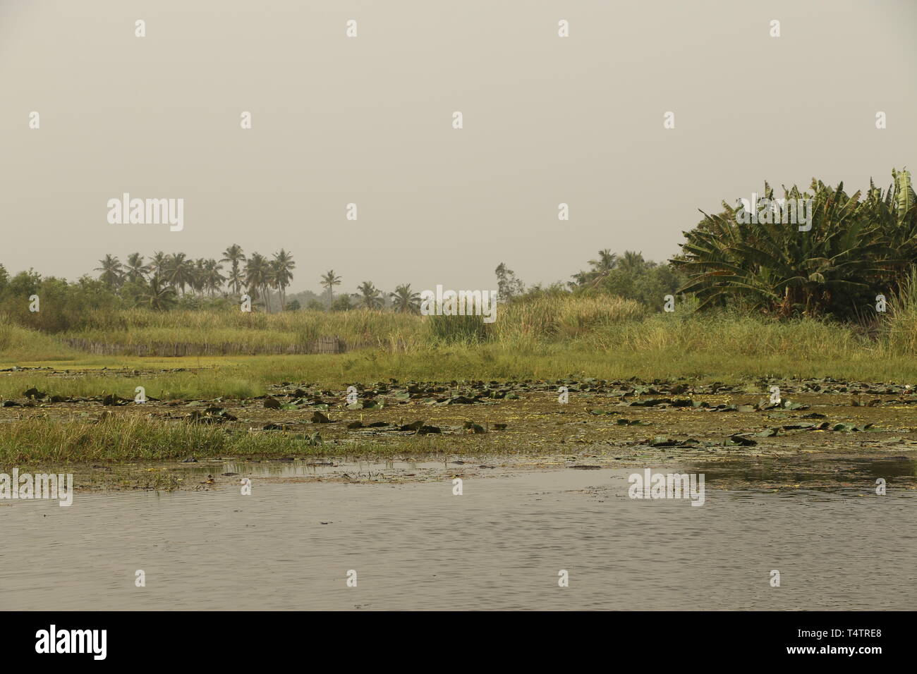 Togo landscape hi-res stock photography and images - Alamy