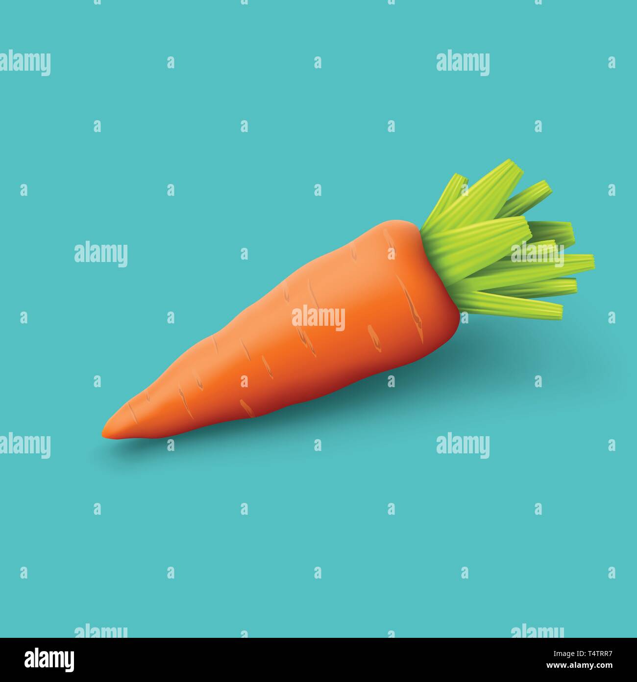 Edible stem and leaves Stock Vector Images - Alamy