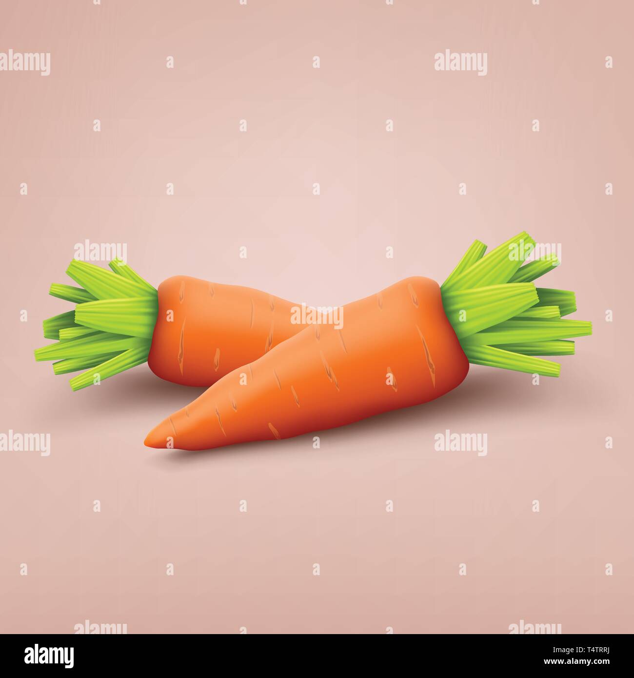 Carrot isolated carrots on Stock Vector Images - Alamy