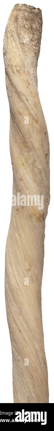 Narwhals hi-res stock photography and images - Alamy
