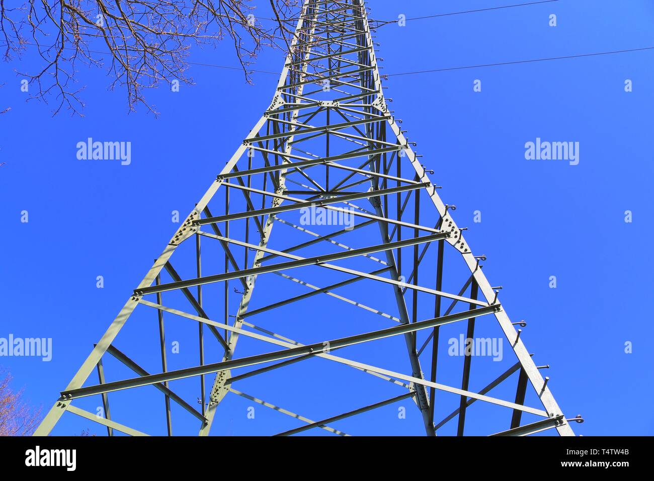 Big power pylon transporting electricity in a countryside area Stock ...