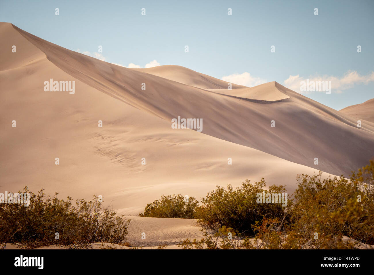Big sand dunes nevada hi-res stock photography and images - Alamy