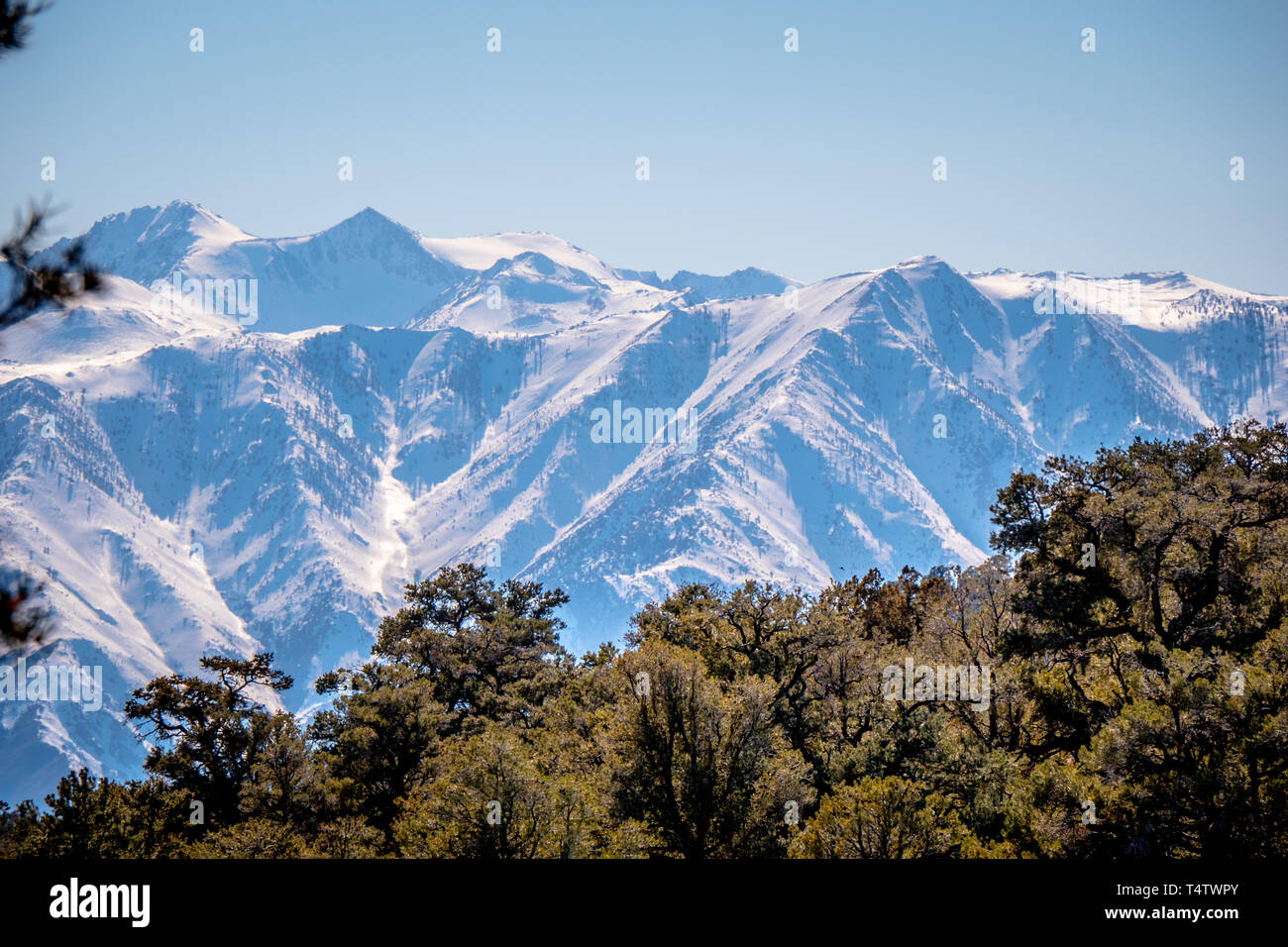Beautiful Inyo National Forest in the Sierra Nevada Stock Photo - Alamy