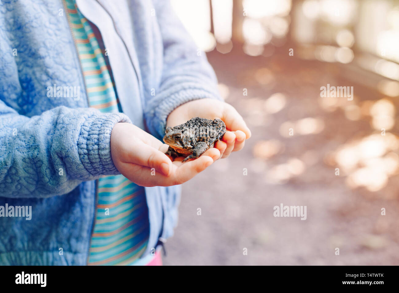 Kid hand holding frog hi-res stock photography and images - Alamy