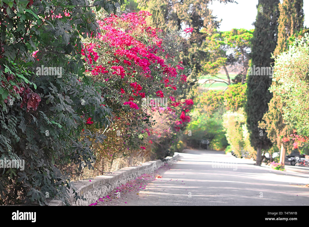 Monastery arboretum hi-res stock photography and images - Alamy
