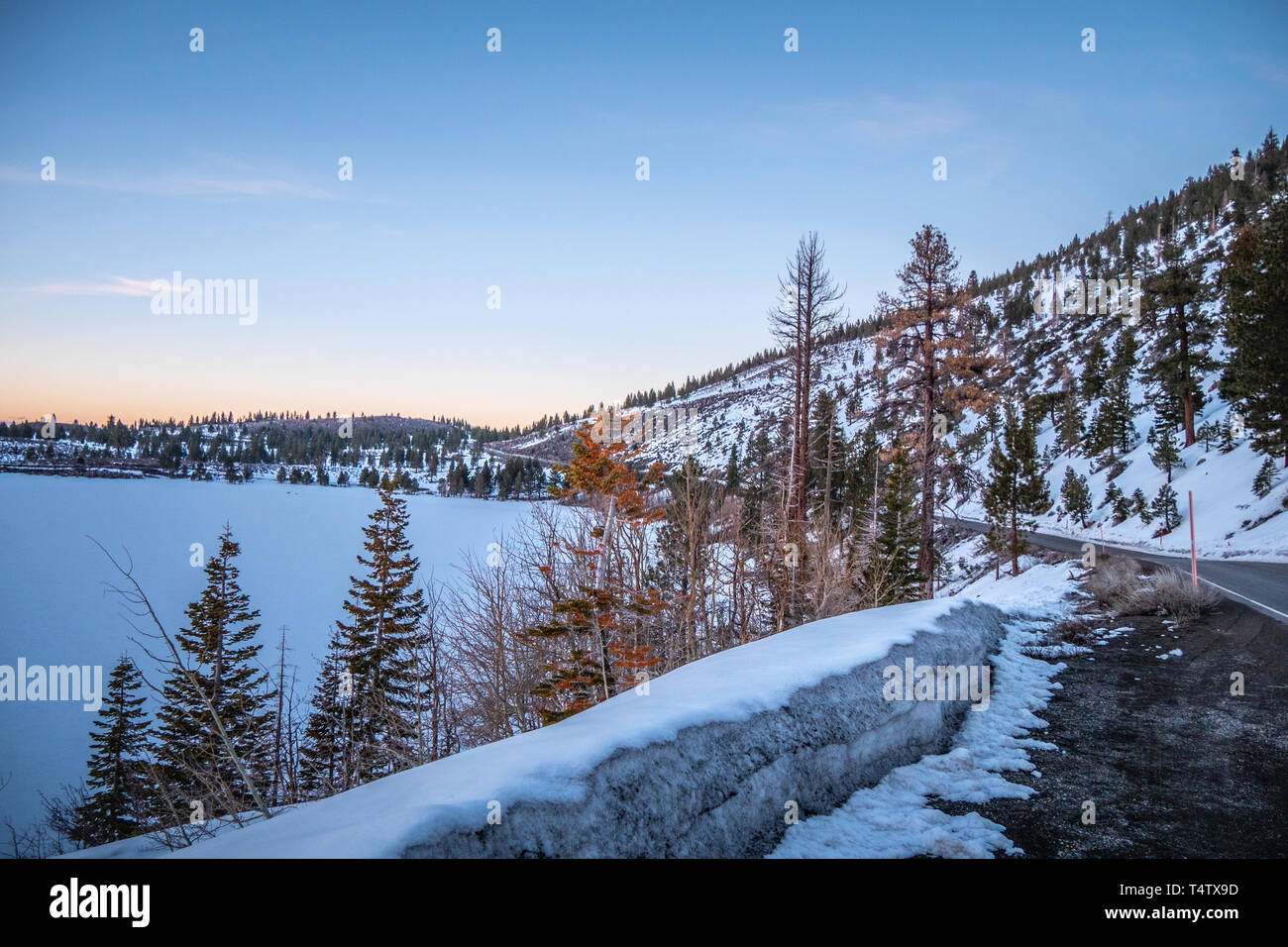 Frozen Lake at Inyo National Forest Stock Photo - Alamy