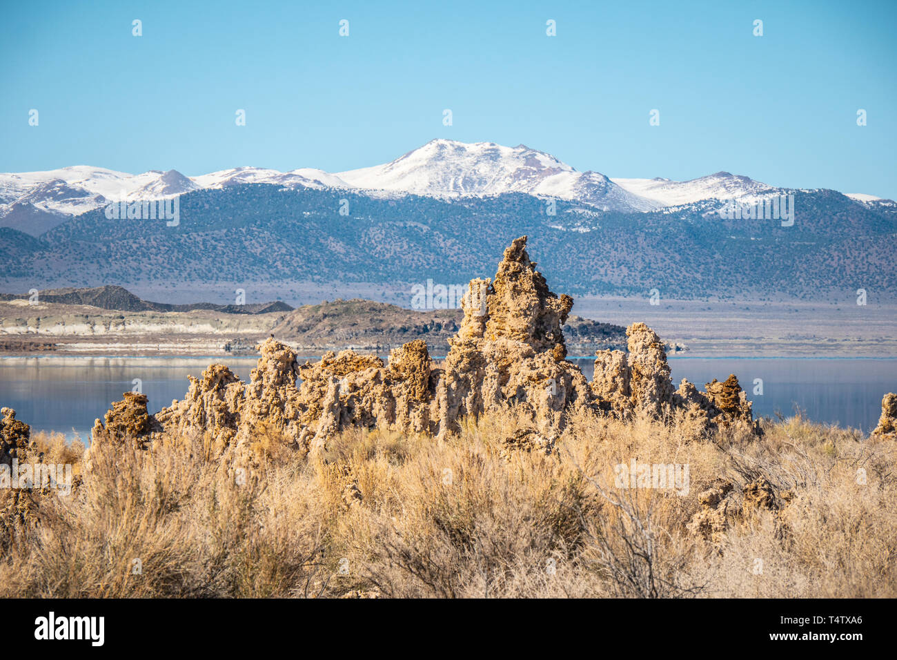 Tufa towers columns of limestone at Mono Lake Stock Photo - Alamy