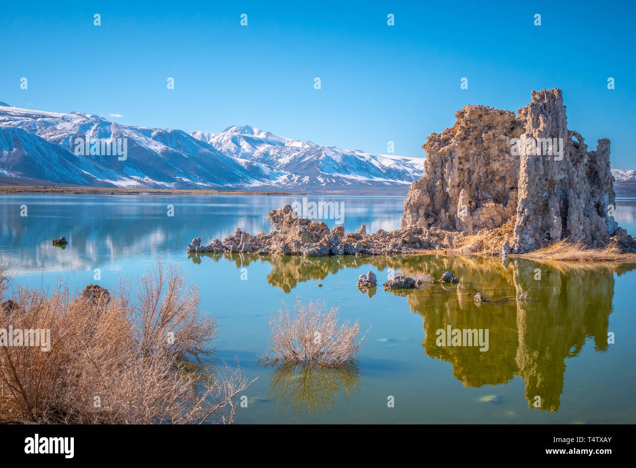 Tufa towers columns of limestone at Mono Lake Stock Photo - Alamy