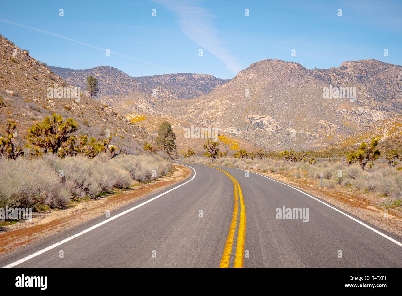 Scenic route through the desert at Sequoia in California Stock Photo ...