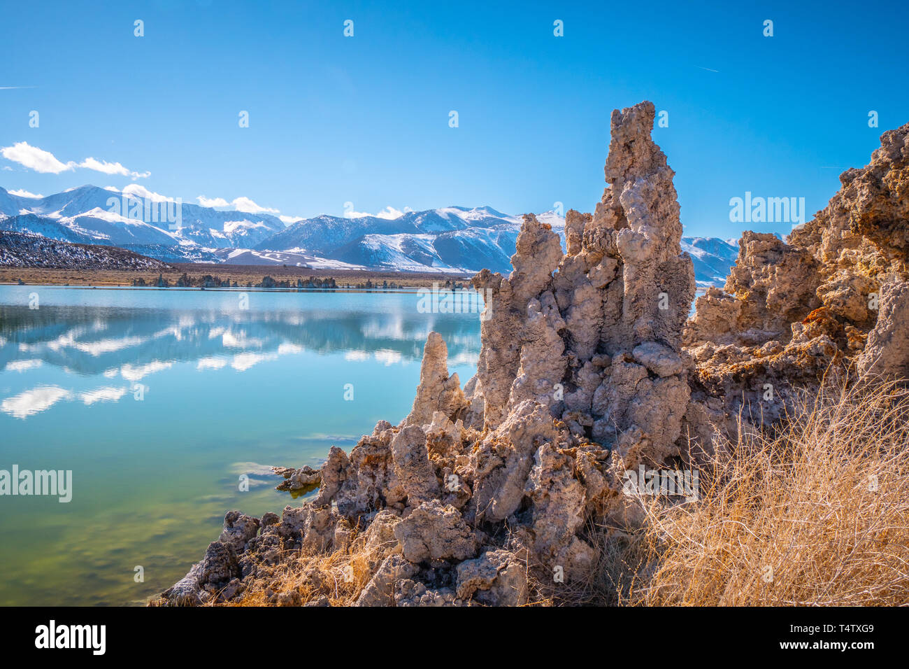 Tufa towers columns of limestone at Mono Lake Stock Photo - Alamy
