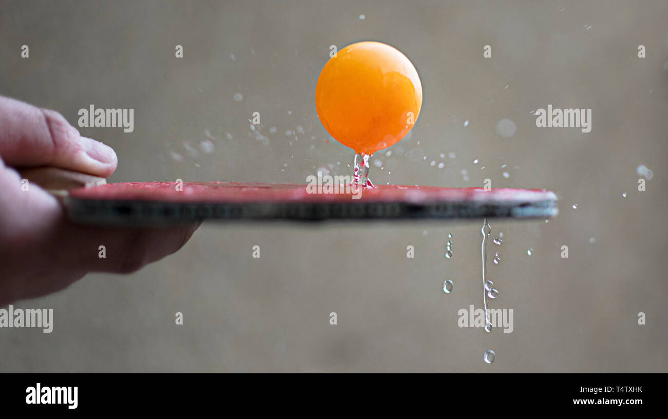 Ping pong racquet hitting a ball. Motion action concept of table tennis ...