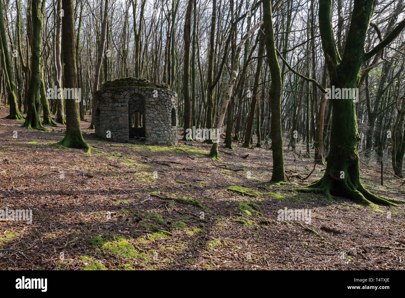 Folly ruins hi-res stock photography and images - Alamy