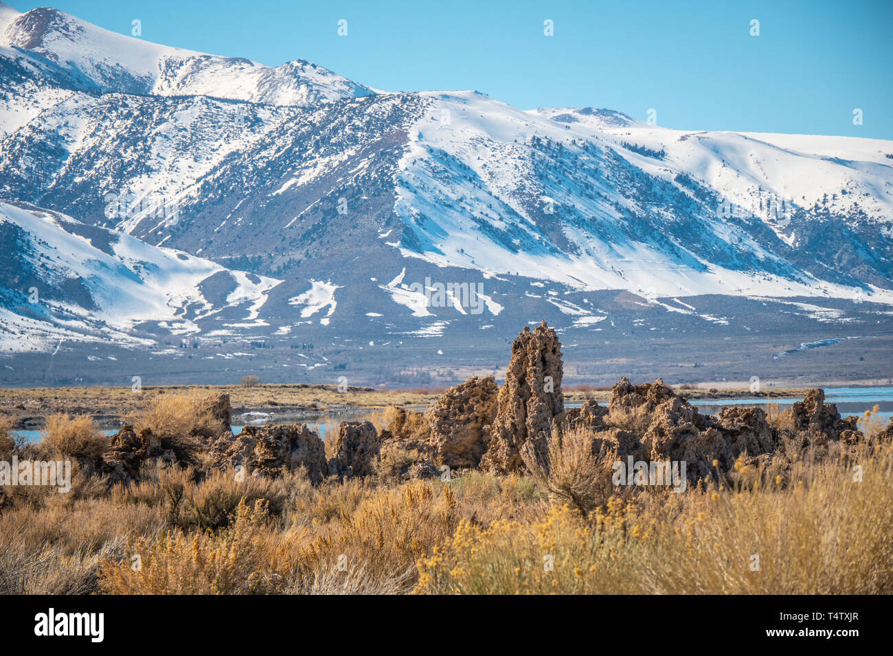 Tufa towers columns of limestone at Mono Lake Stock Photo - Alamy