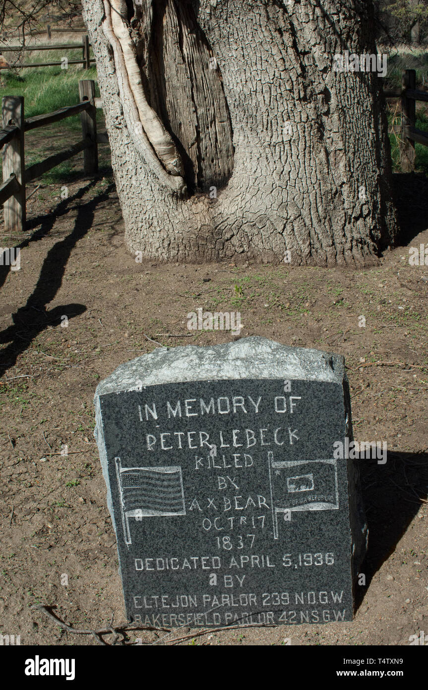 Killed by a bear hi-res stock photography and images - Alamy