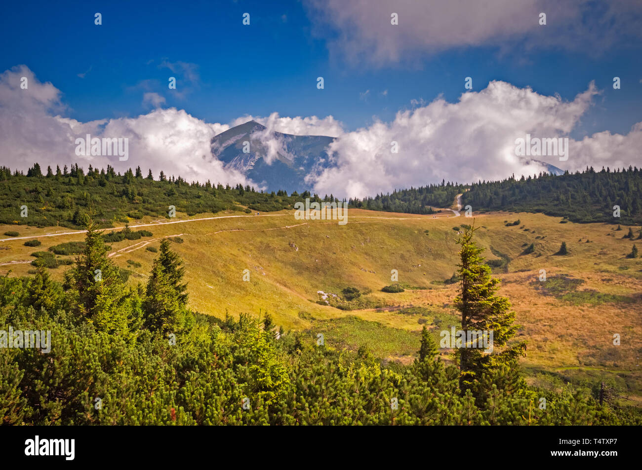 The Rax in the Raxalpe Stock Photo - Alamy
